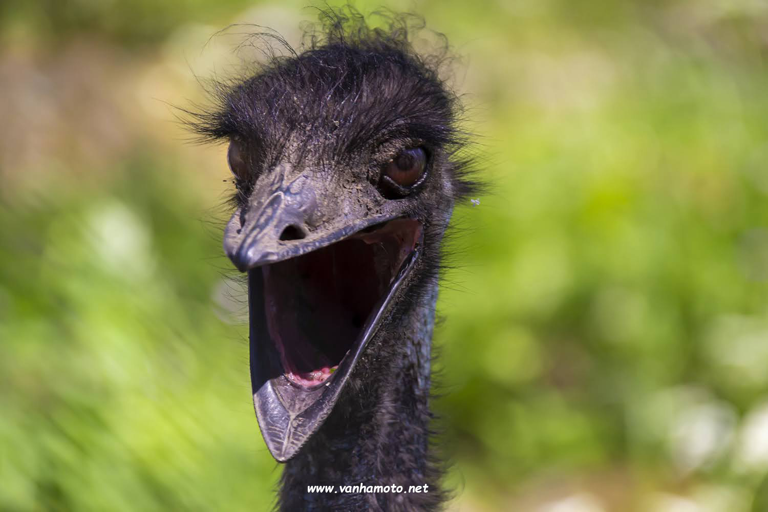 Oma Aika: Kovaa idässä... ja pehmeää!