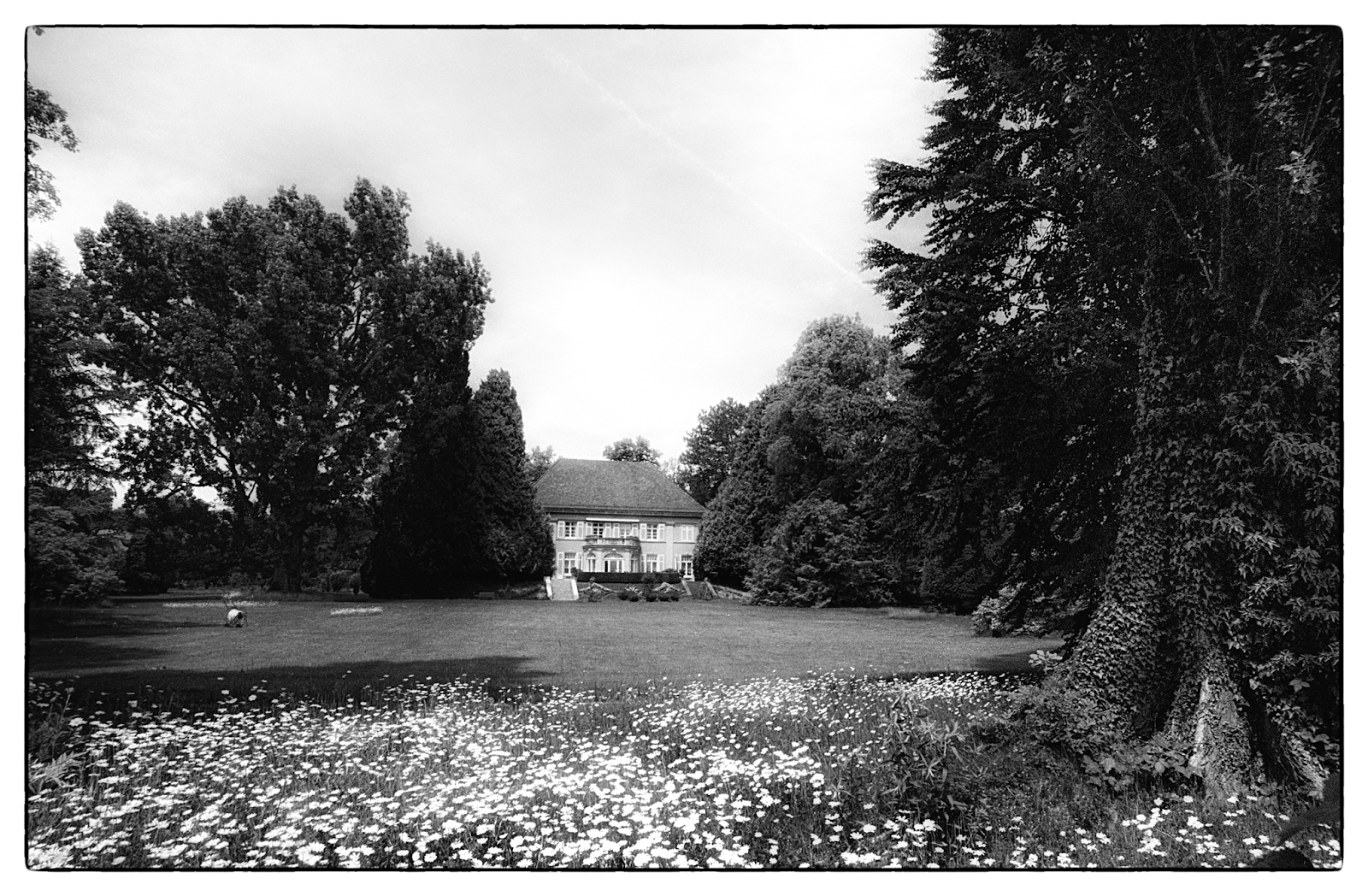 zur-empfindlichkeit-des-ilford-xp2-400-super