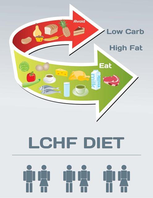 5 Best Fat-Burning Foods to Keep You Healthy