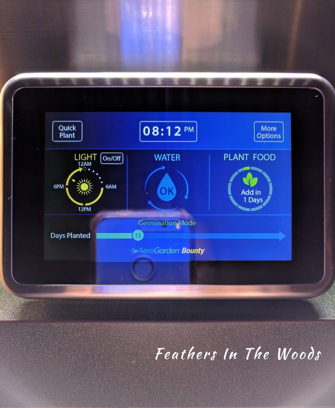 Hydroponic gardening for beginners - Feathers in the woods