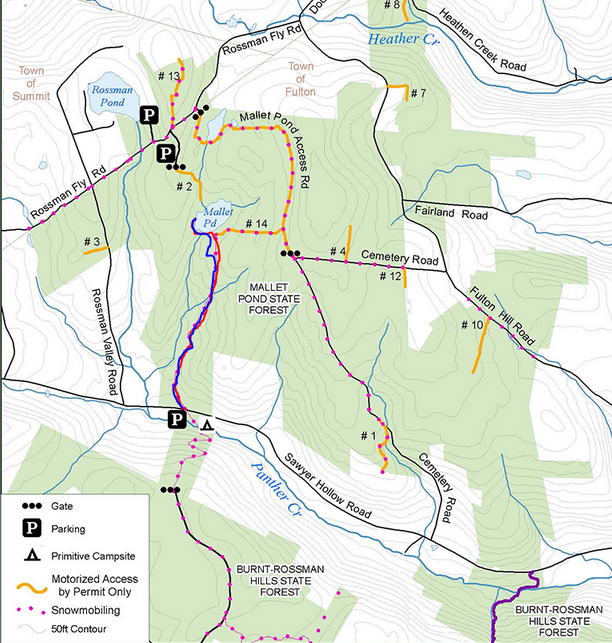 Walking Man 24 7: Mallet Pond State Forest(Schoharie County, NY)