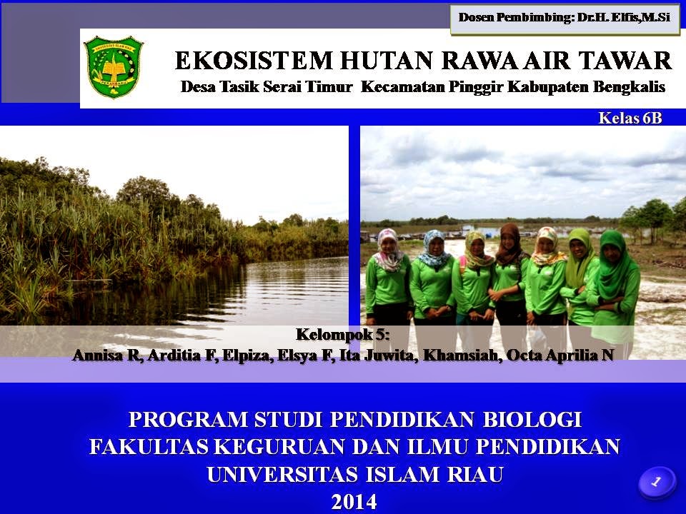 Ekositem Rawa Air Tawar: EKOSISTEM RAWA AIR TAWAR.PPT
