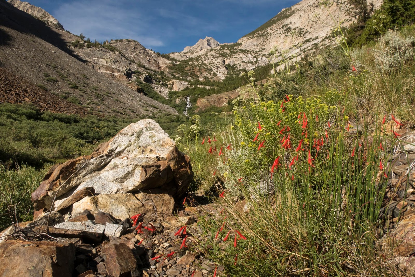 GABLE LAKES INYO NATIONAL FOREST, CALIFORNIA - ADAM HAYDOCK
