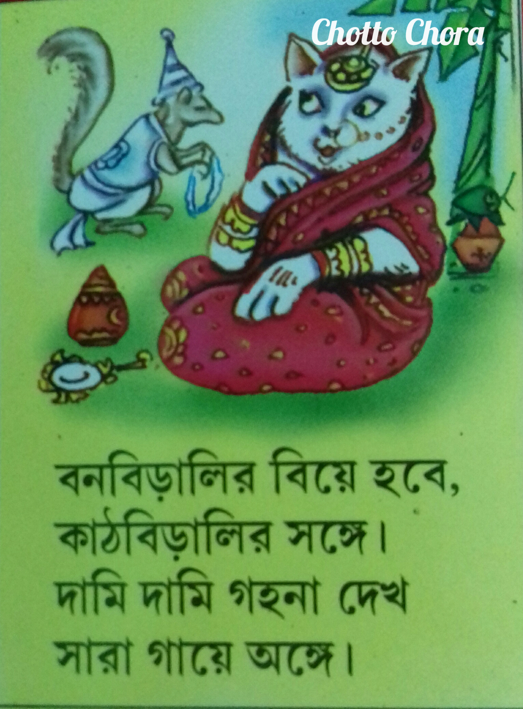 বোন বিড়ালীর বিয়ে