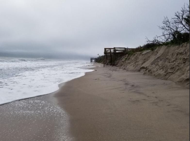 The Treasure Beaches Report Direct From Florida's Treasure Coast.: 1/4 ...