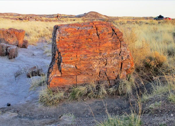 Visit Petrified Forest National Park | Travel Quest - US Road Trip and ...