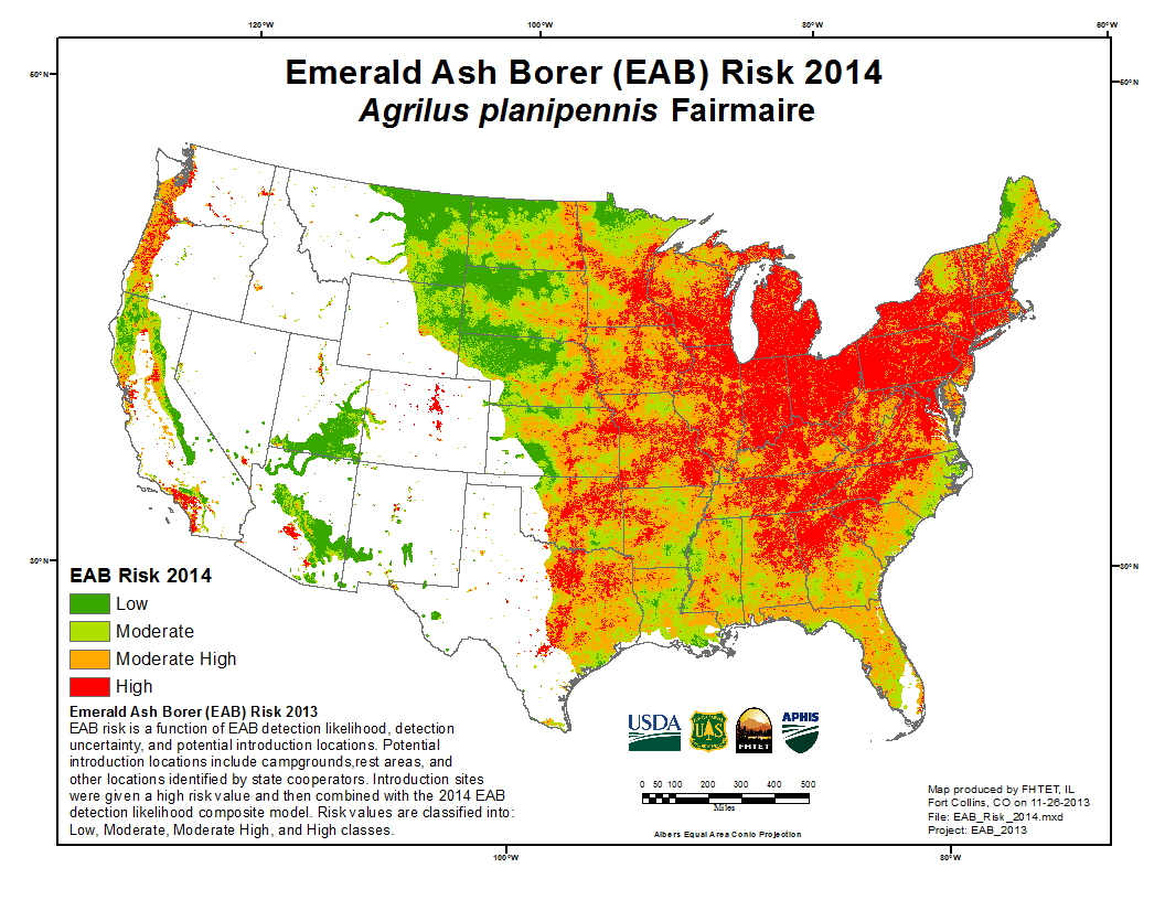 Garden Fancy: An idea occurs. Uh-Oh: Hard work and thinner wallet ahead....