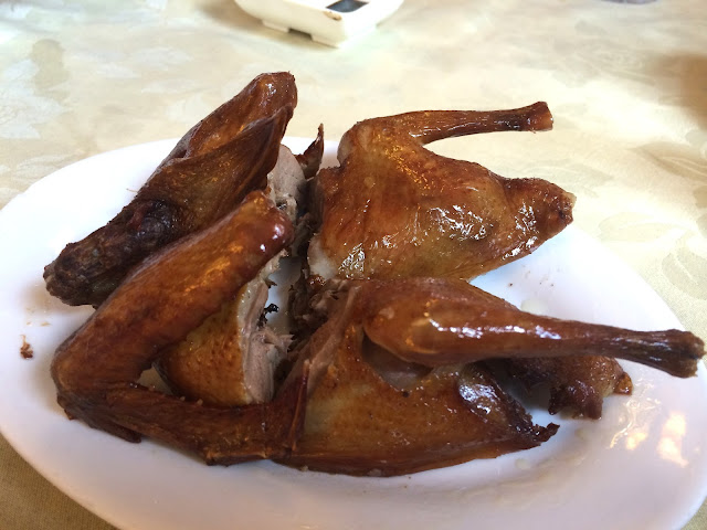 Pigeon and Nostalgia at Lung Wah Hotel 龍華酒店, Shatin Hong Kong / LUCY ...