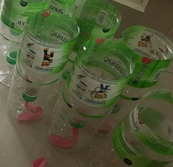 CARA MUDAH TANAM SALAD DALAM BOTOL MINERAL | wansite