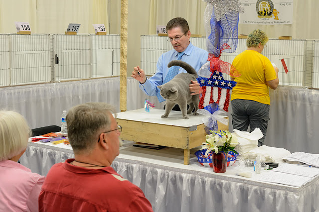 Bubba's Garage: Here Kitty, Kitty! A Trip to the National Capital Cat Show