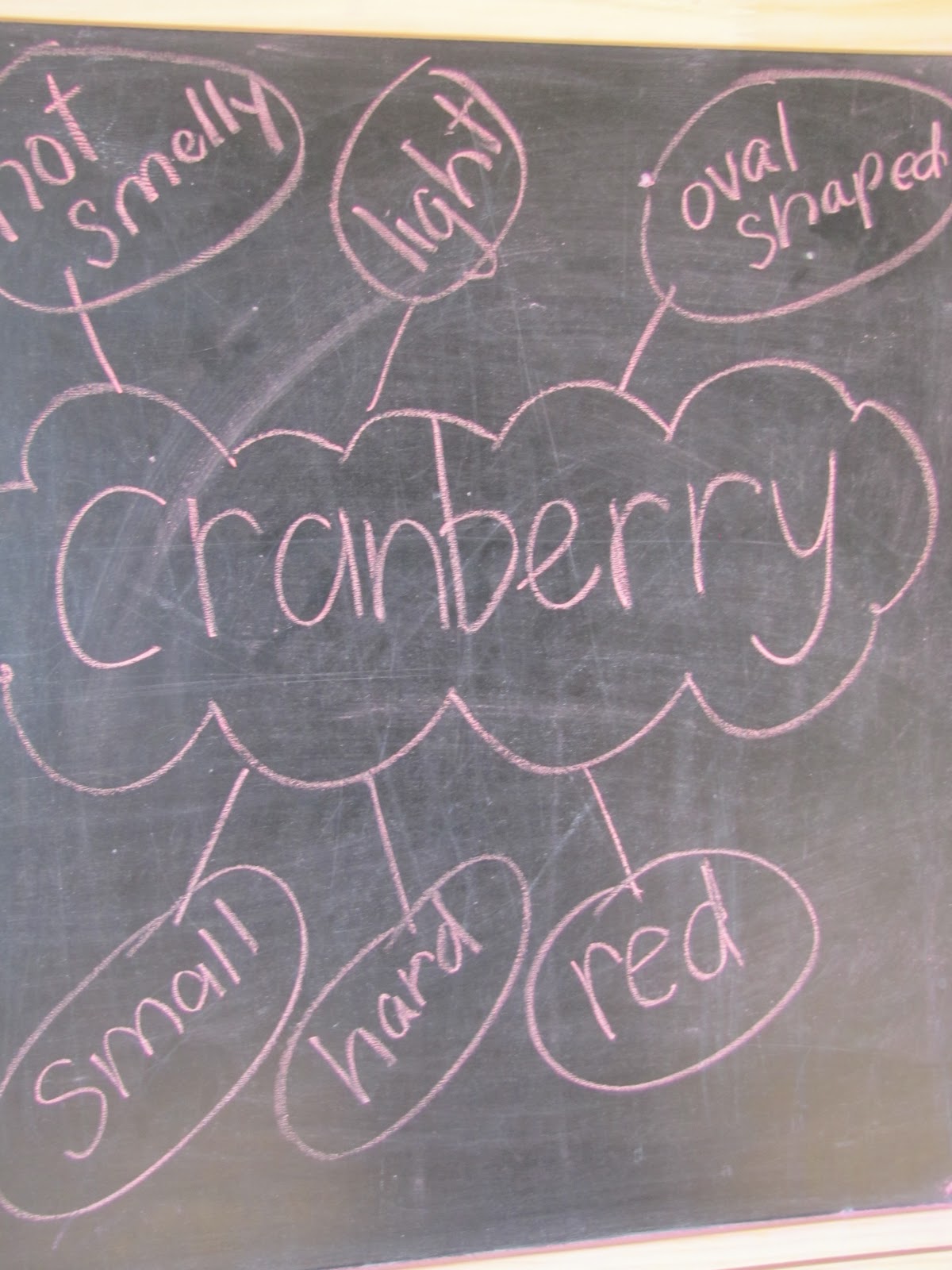 Mayflower Flapbook with Five in a Row's "Cranberry Thanksgiving ...