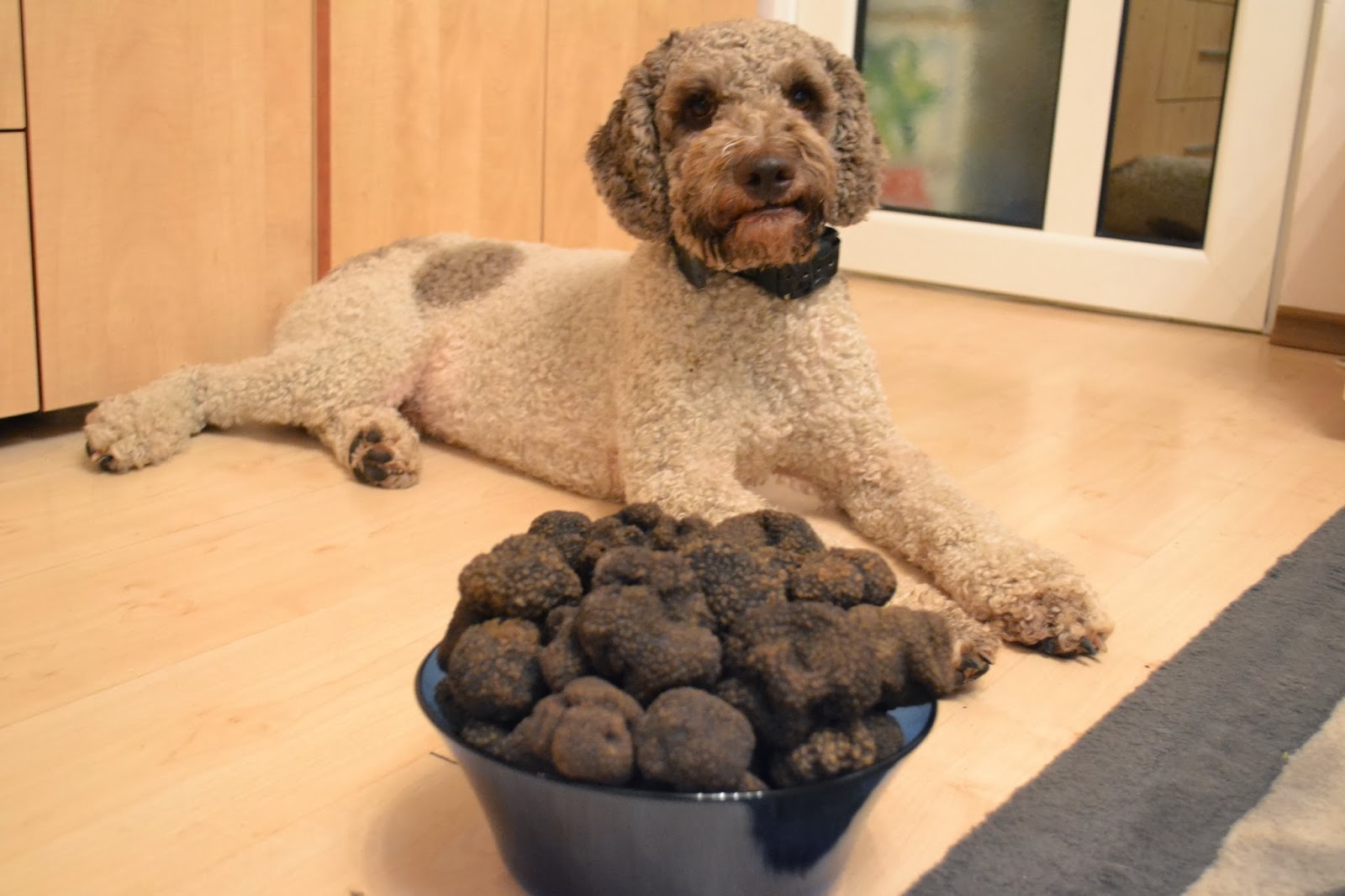 Trufe Romania Albe si Negre: Trufe Negre