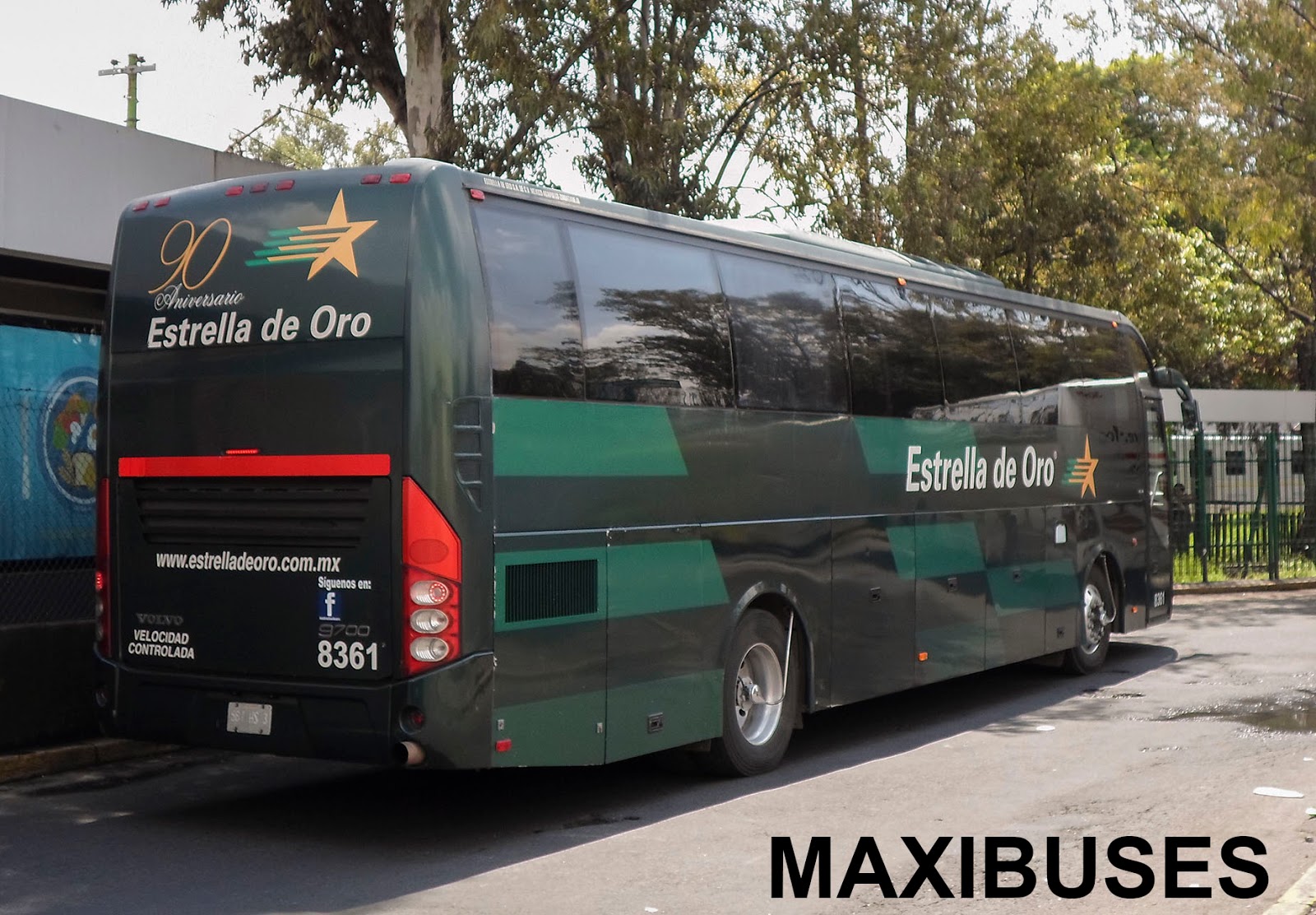 MAXIBUSES: ESTRELLA DE ORO PLUSS