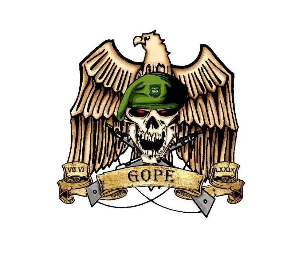 desarrollo defensa y tecnologia belica: Ovalle Motors entrega dos Can ...