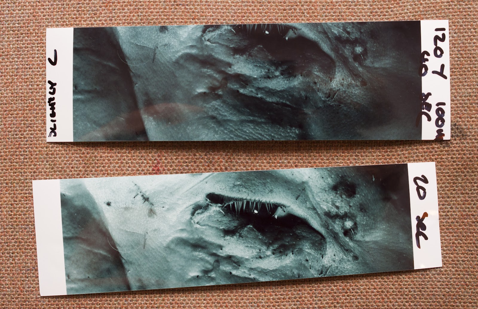 Harry Scott Photography: The Commission