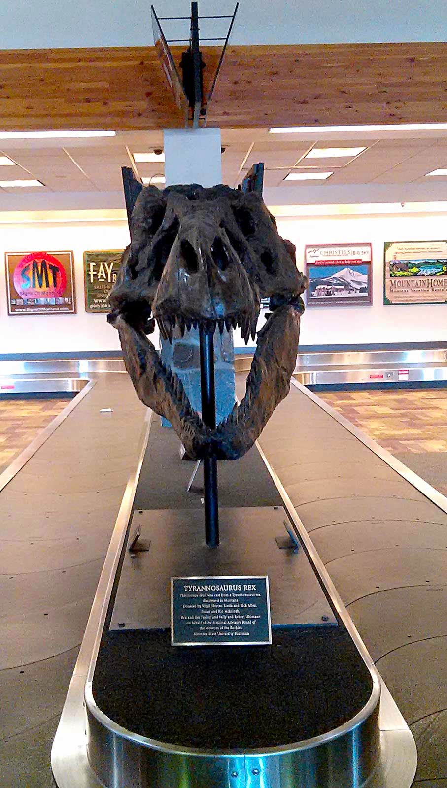 Dinosaur Fossils In Yellowstone at Joan Ruhl blog