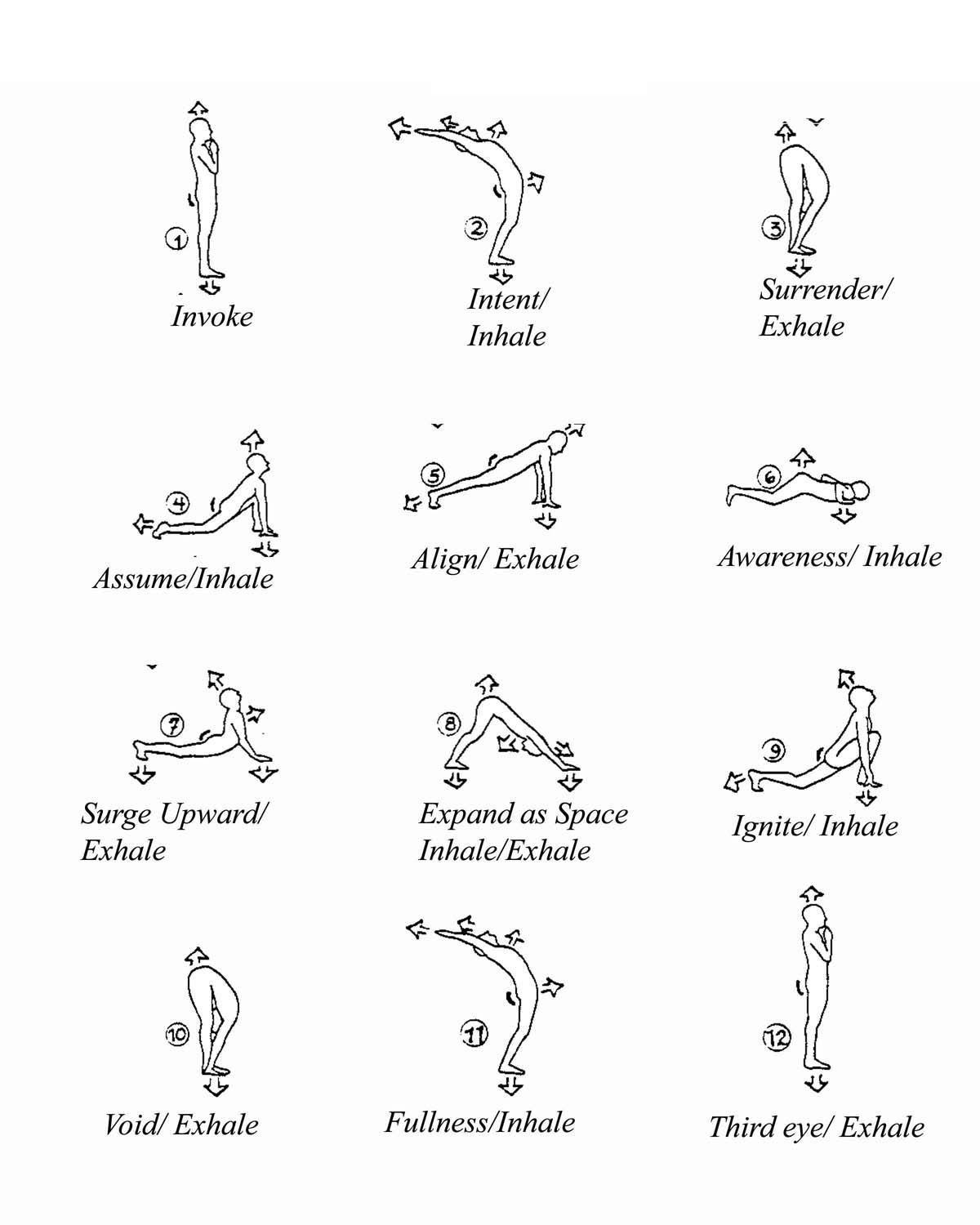 EMIRATES SPORTS HEALTH CLUB DUBAI WARM UP EXERCISES WITH PICTURE EMIRATES SPORTS HEALTH CLUB DUBAI WARM UP EXERCISES WITH PICTURE