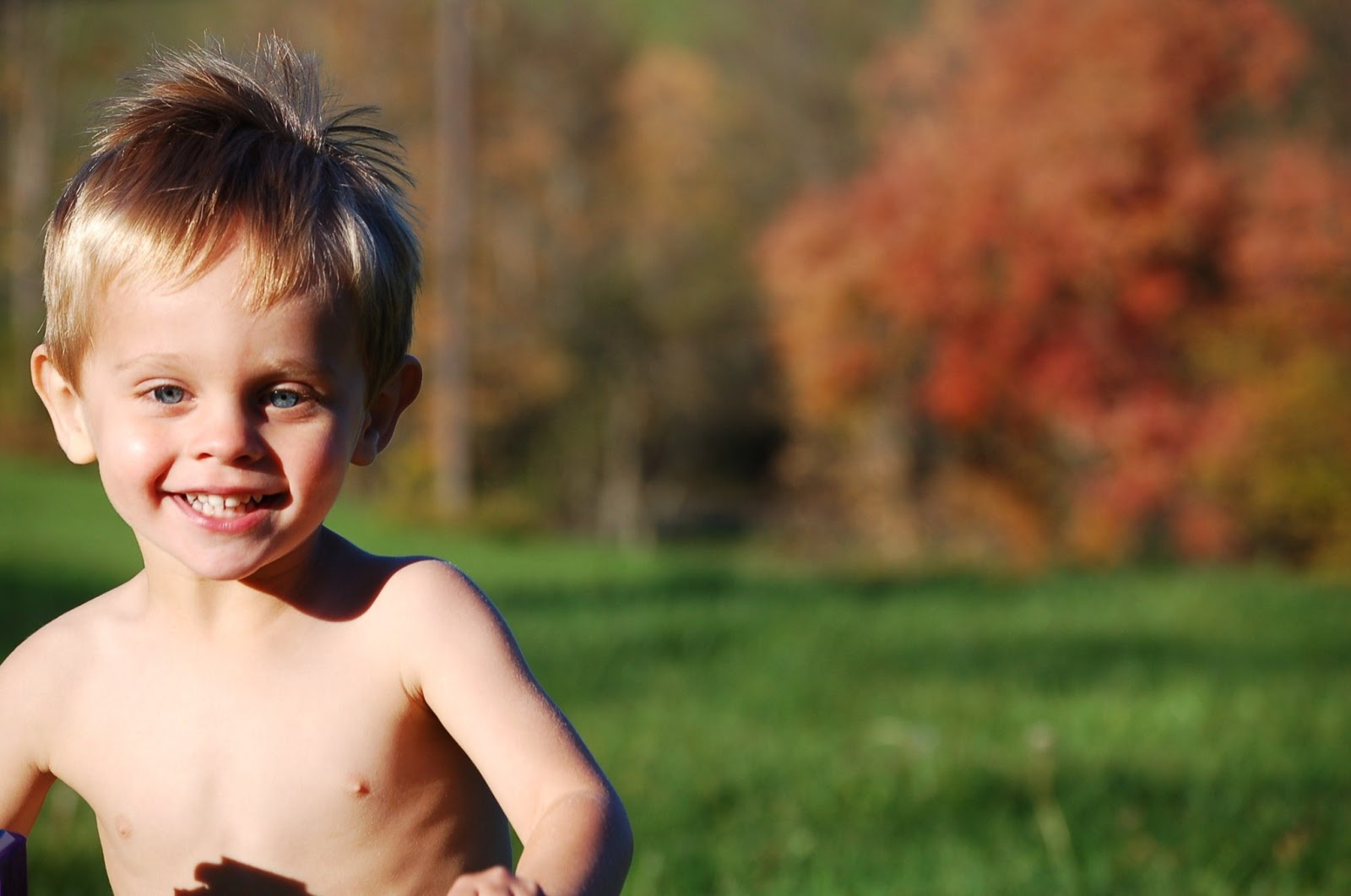 The Buddy Bee Makes Three: Buddy Bee is a 27 Month Bee