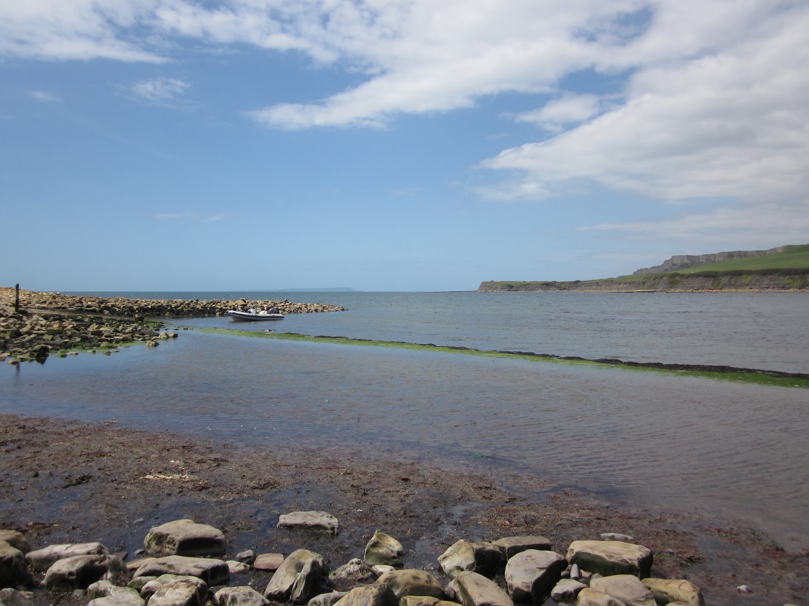 Lives By The Woods: Rocks