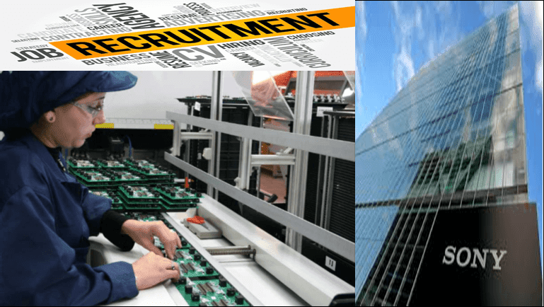Recruitment At Sony Electronic Company USA