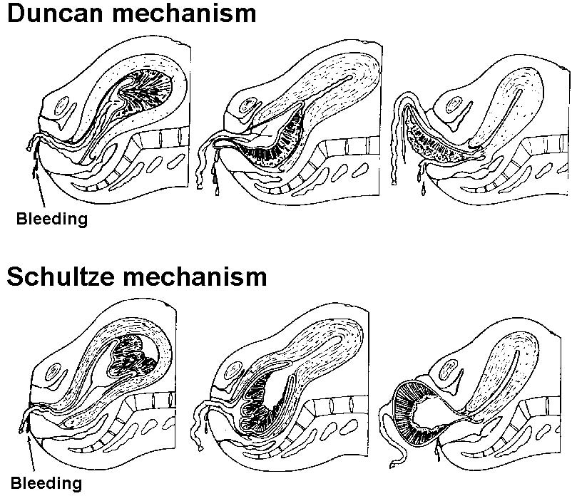Babillages: May 2012