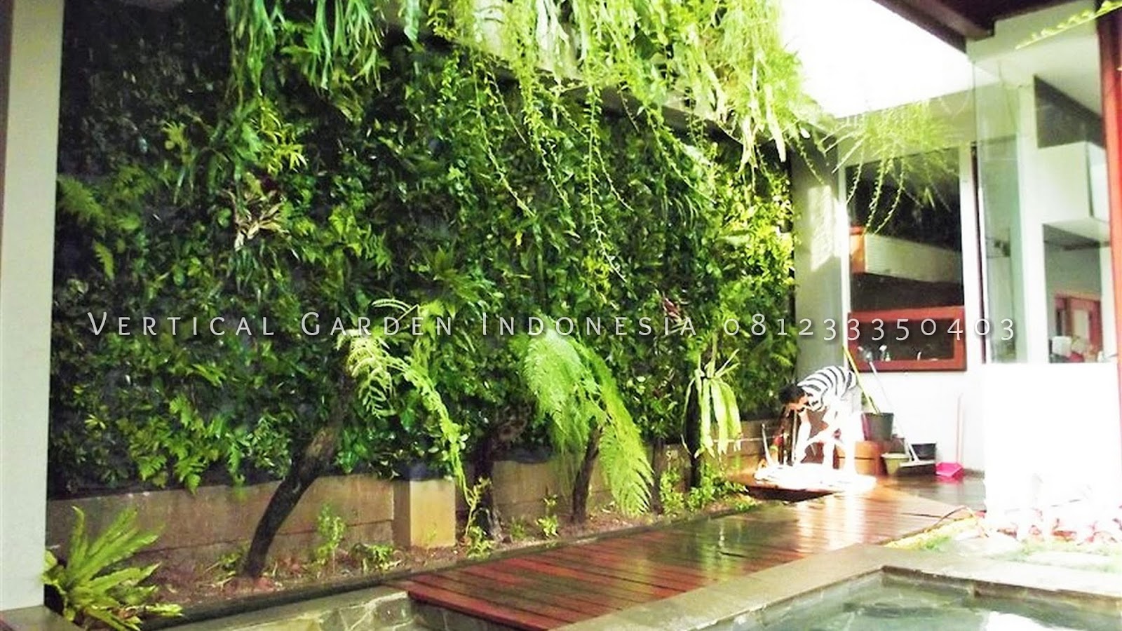 Desain Taman Vertical/Konsep Vertical Garden Dari Jasa Tukang Taman ...