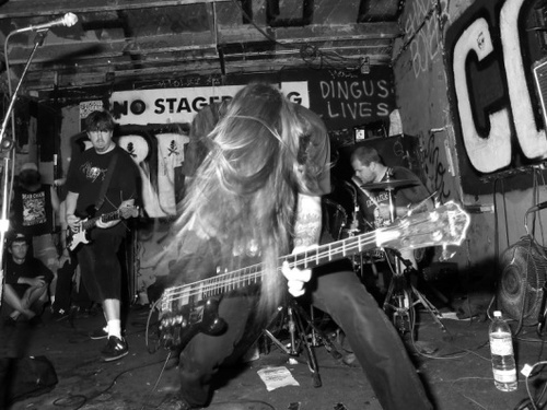 Drug Punk: Punk Rock Could Be Your Life: An Interview with Robert Collins