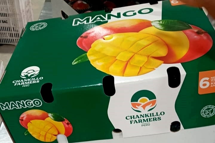 Exportación de Mango Vía Aérea | Chankillo Farmers Perú