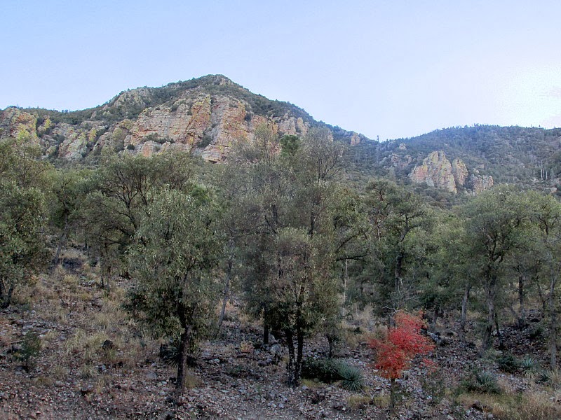 Outpost Mâvarin: Round Robin: True Colors of Autumn - in Southern Arizona?