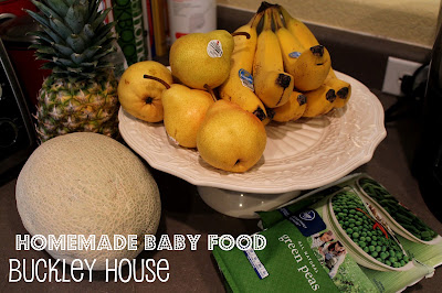 Itty Bitty Blog: More Homemade Baby Food