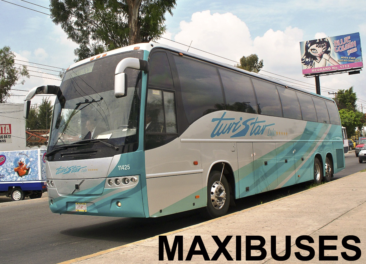 MAXIBUSES: TURISTAR LUJO