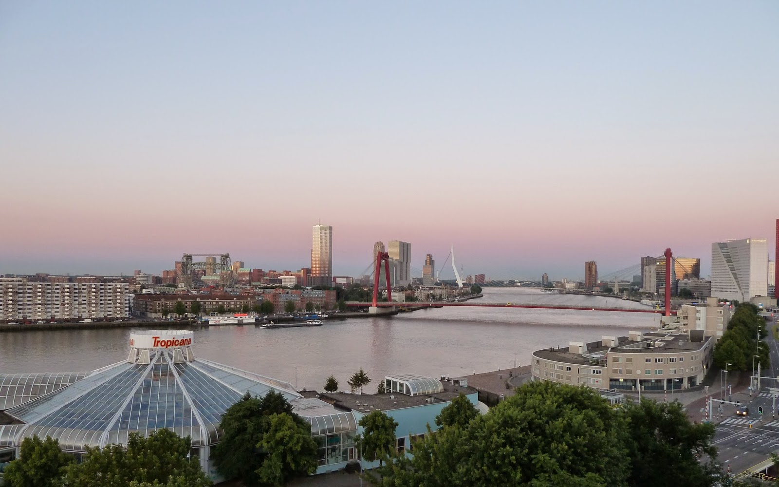 VERT-EL-SELS.: Good morning Rotterdam