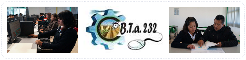 CBTA 232, JIQUIPILCO, ESTADO DE MÉXICO.