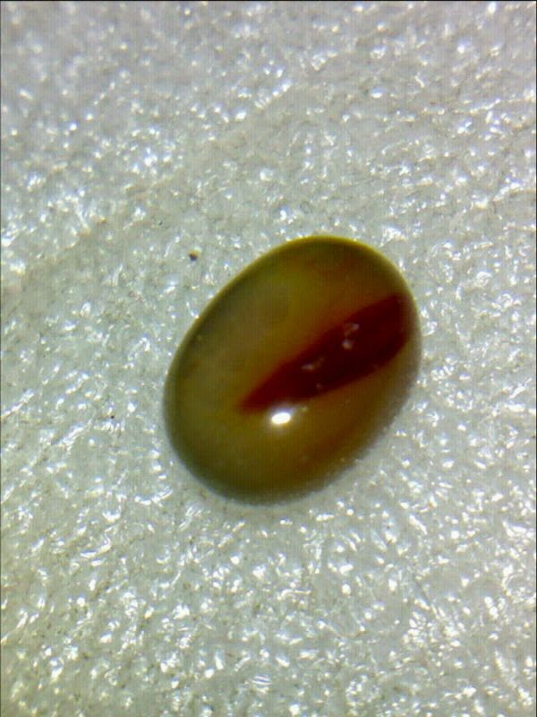 Koleksi Geliga & Khazanah Asli: Geliga ular