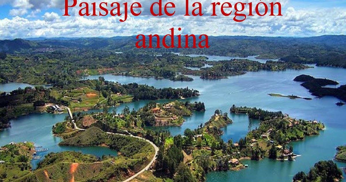 REGIÓN ANDINA