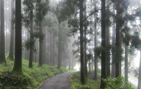 Dowhill most haunted place in India - Is it a Myth or Truth - About ...