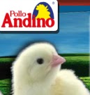 Blog Pollo Andino: Nuestra Historia