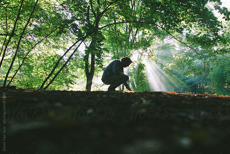 HOW IN THE WORLD!!: Under The Fig Tree... Jesus Meets Us Where We Are ...