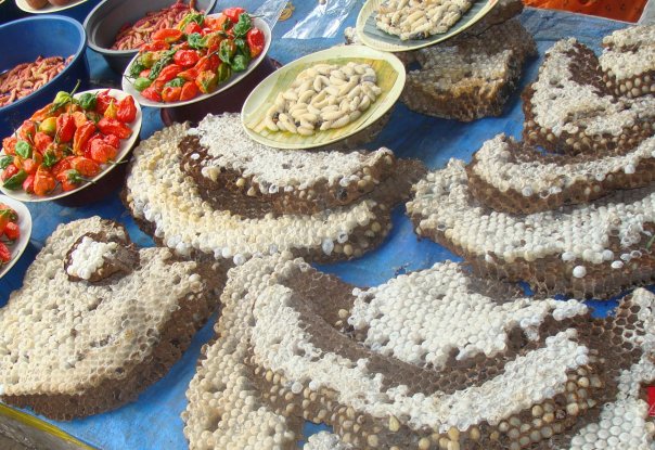Some Naga food items one would normally see at local markets in ...