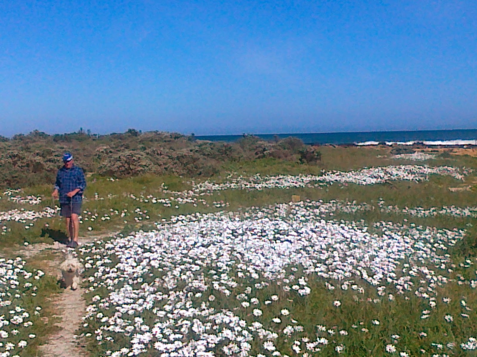 A day in the life: Spring flowers and surfing