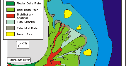 Lingkungan Pengendapan Transisi - Geos Muda
