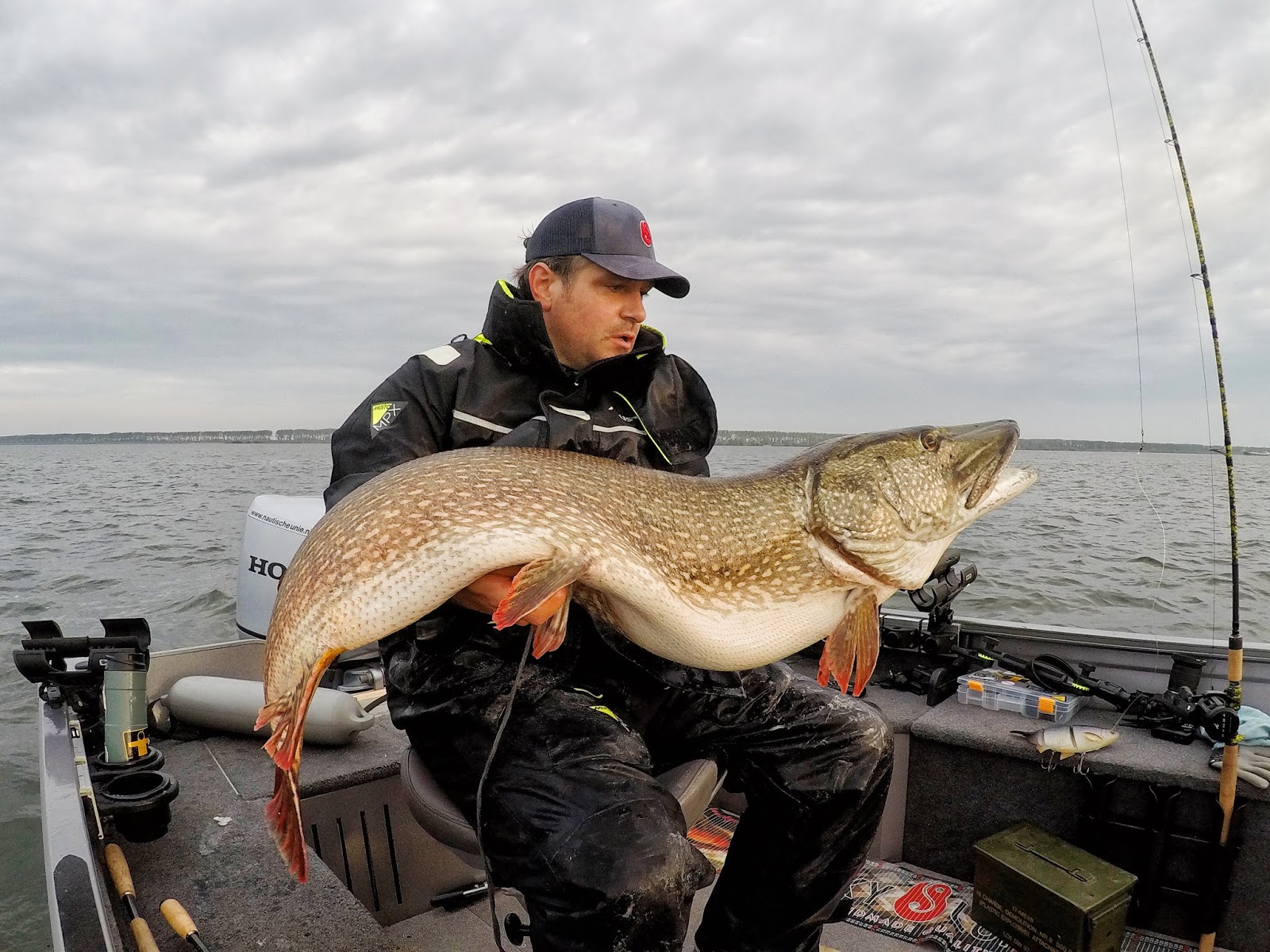 Nederlands record snoek naar 1,38 meter in 2019 met monstervis