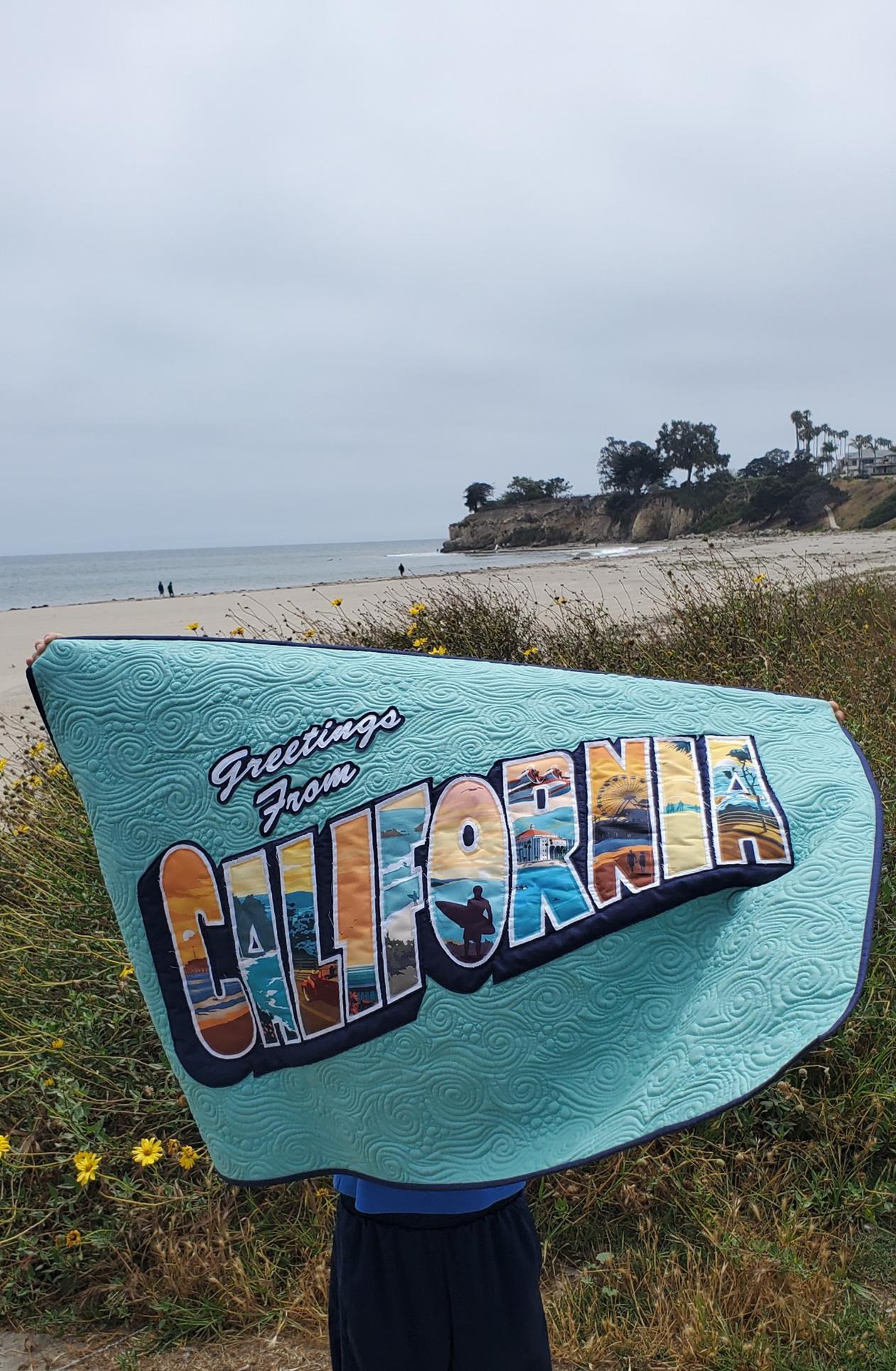 Slice of Pi Quilts: Greetings from California!