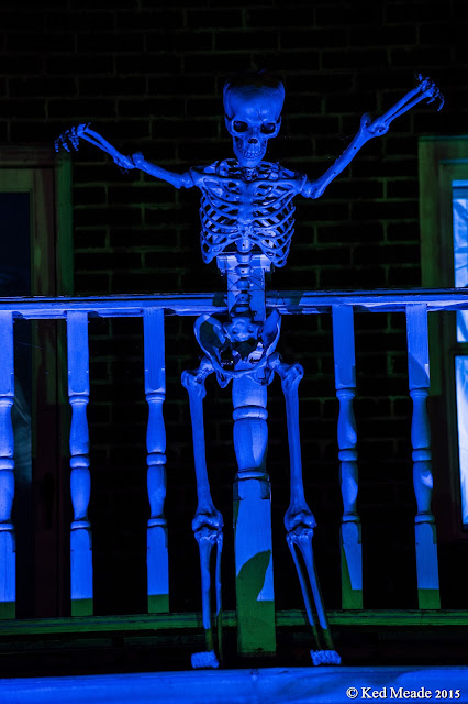 Something wicKED this way comes....: The Skeletons of Wicked Woods ...