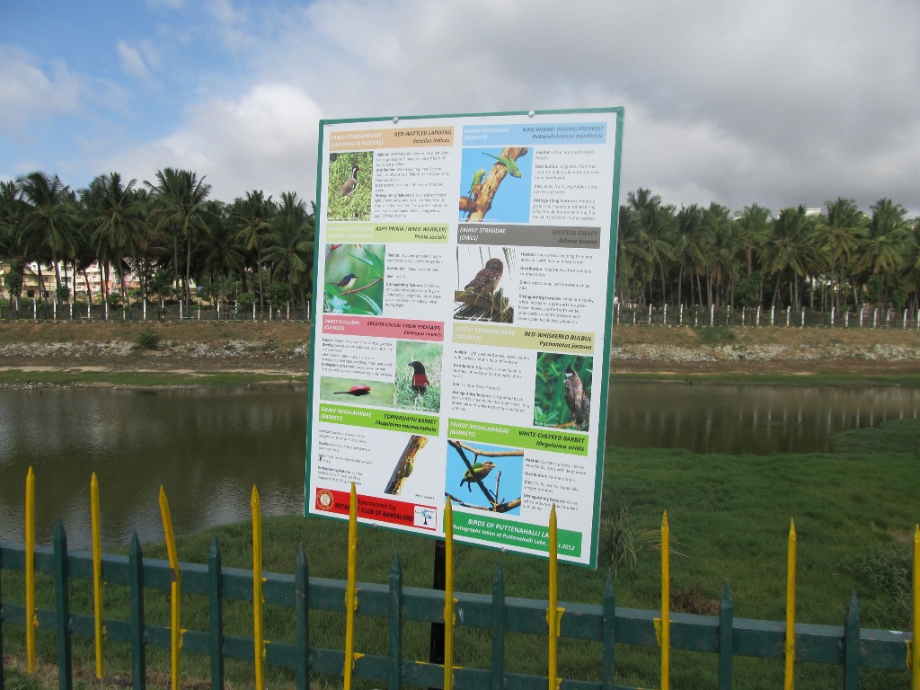 Educational boards at the lake - Citizen Matters