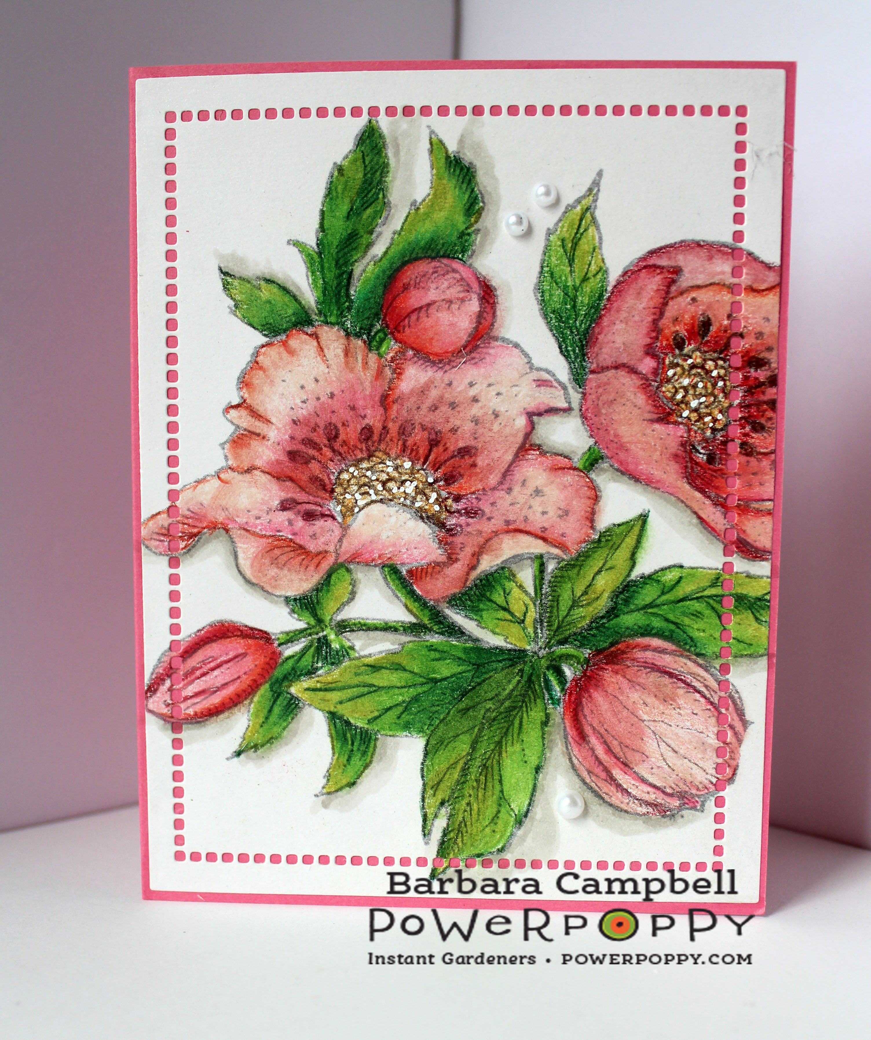 My Creative Room : Power Poppy Friday Fun Day