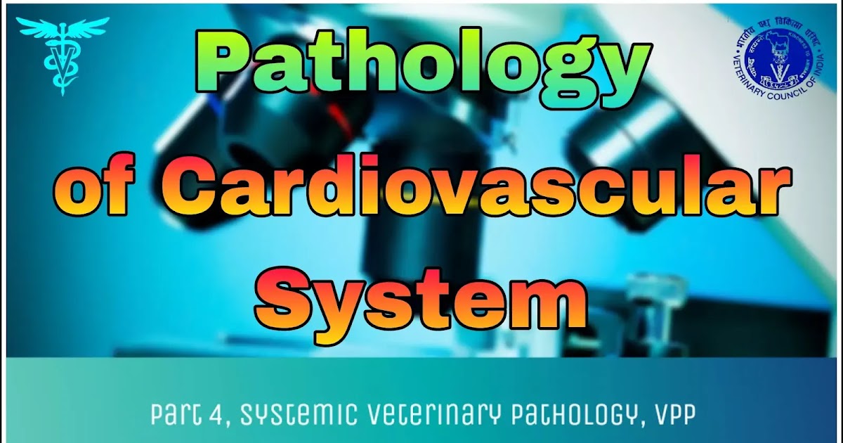 Pathology of Cardiovascular System.