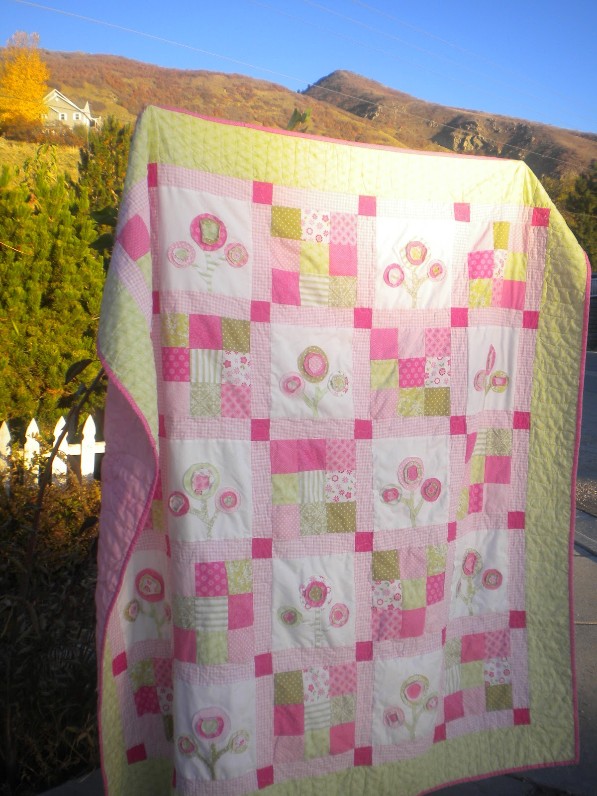 Quackadoodle Quilt: Finished Quilts
