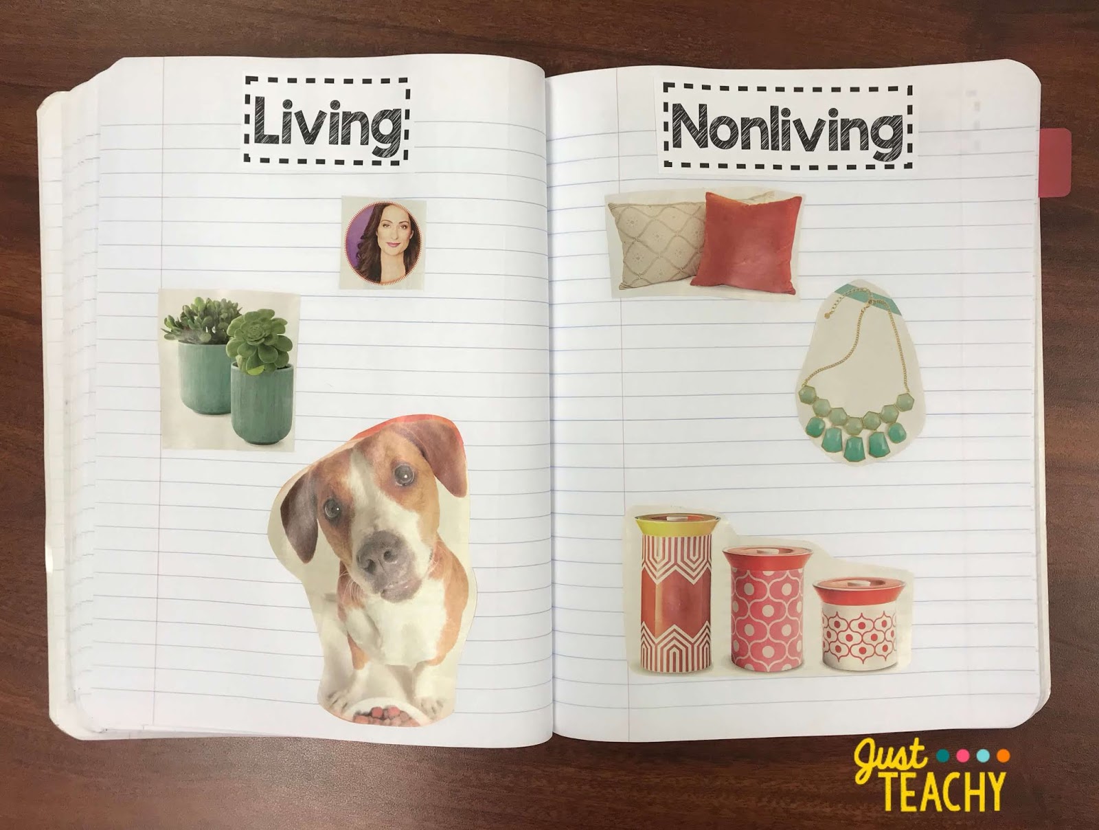 Living & Nonliving | Just Teachy