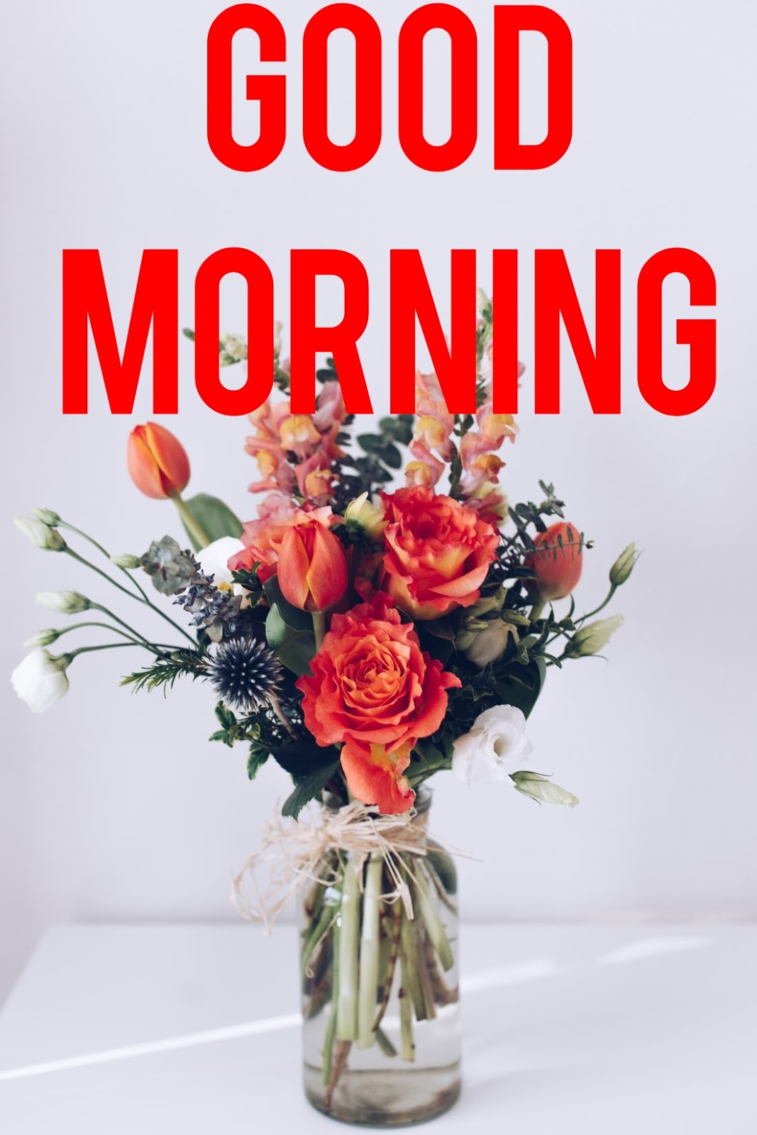 Top 10 Good Morning Images greeting Pictures,Photos for Whatsapp - Good ...